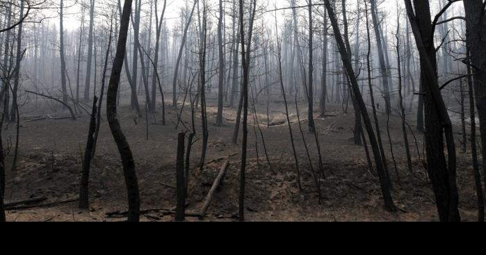 Crews cut fire lines; Dahl fire now 25% contained