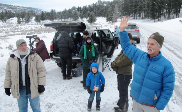 20 years after reintroduction, Yellowstone wolves find balance