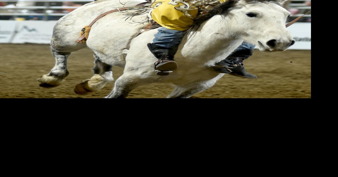 Billings Justin Miller places second at RAM National Circuit Finals Rodeo