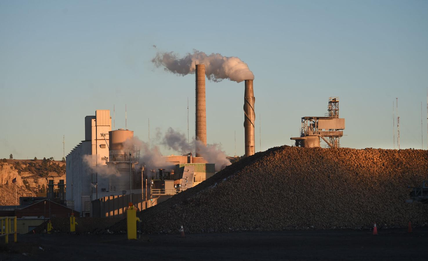 Montana sugar beet crop up after wet spring