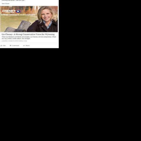 Cheney Facebook message posted in Virginia, calling into question ...