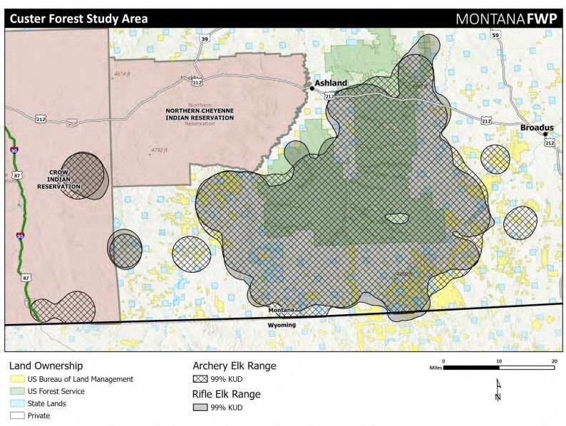 Montana FWP elk study examines 3 populations over 3 years