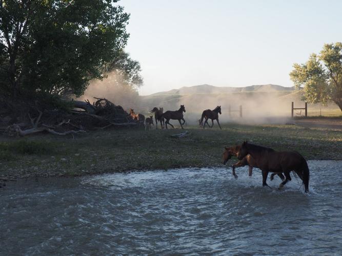 National Geographic photo camp zooms in on Crow clan system