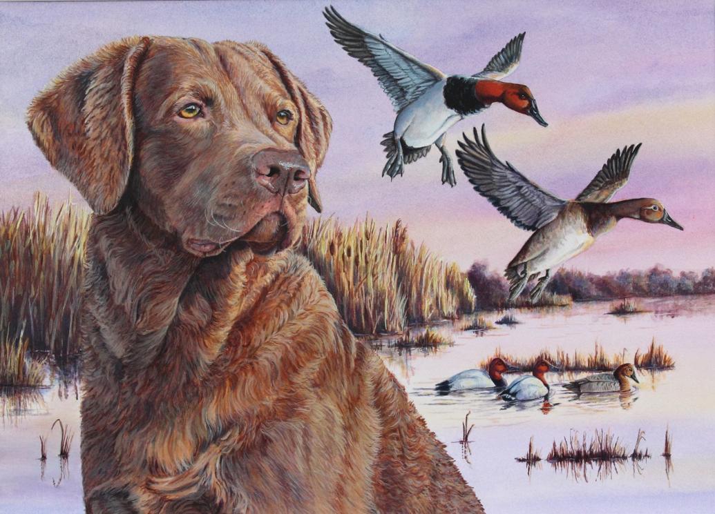 Artist chosen to paint Washington waterfowl stamp