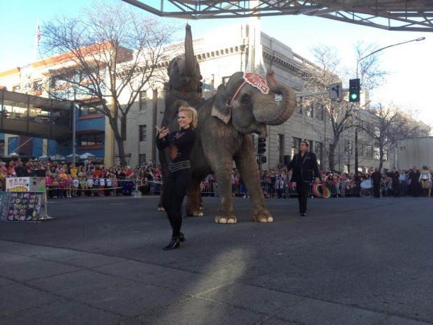 Shrine Circus shows off under Skypoint