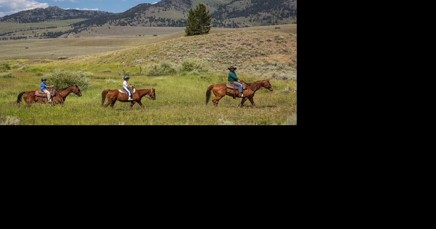 Yellowstone offers free day ride permits for horse owners