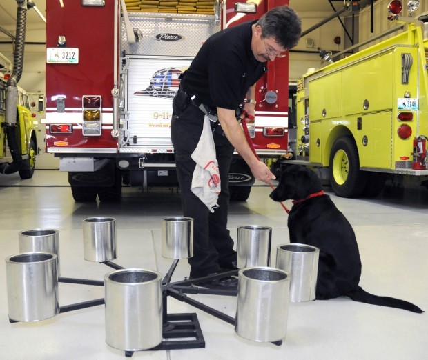 Sniffing out intentional fire