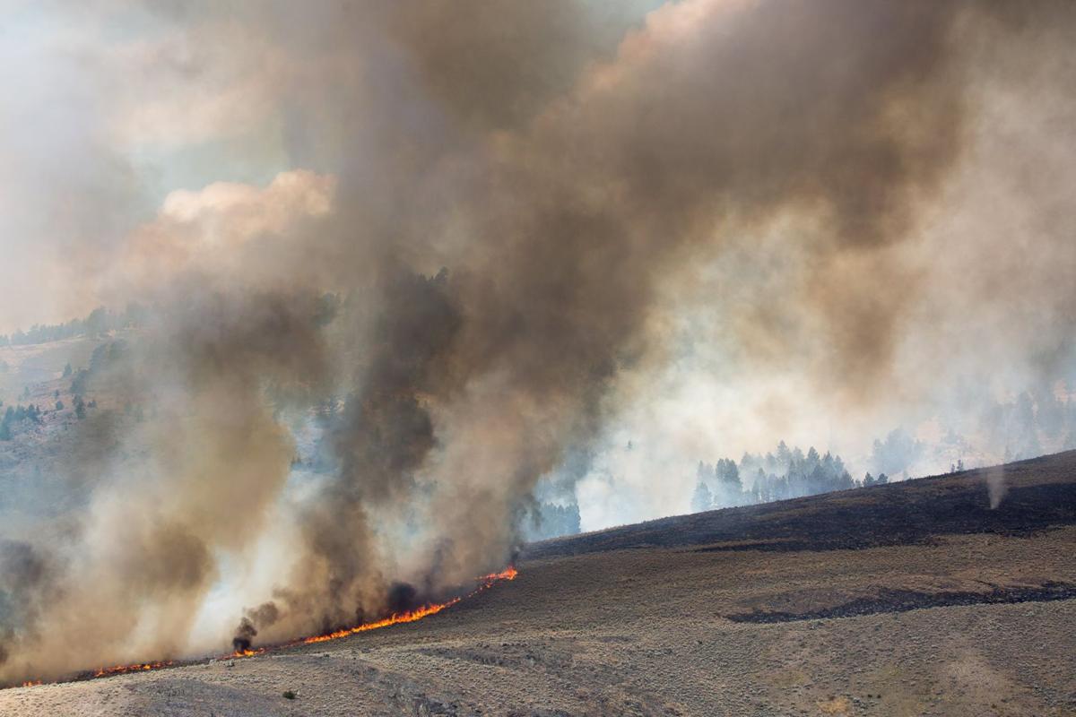 Rainy weather cools Yellowstone-area wildfire; south entrance reopened