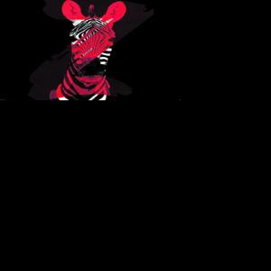 Debut ‘Sunburned Zebra’ stands out