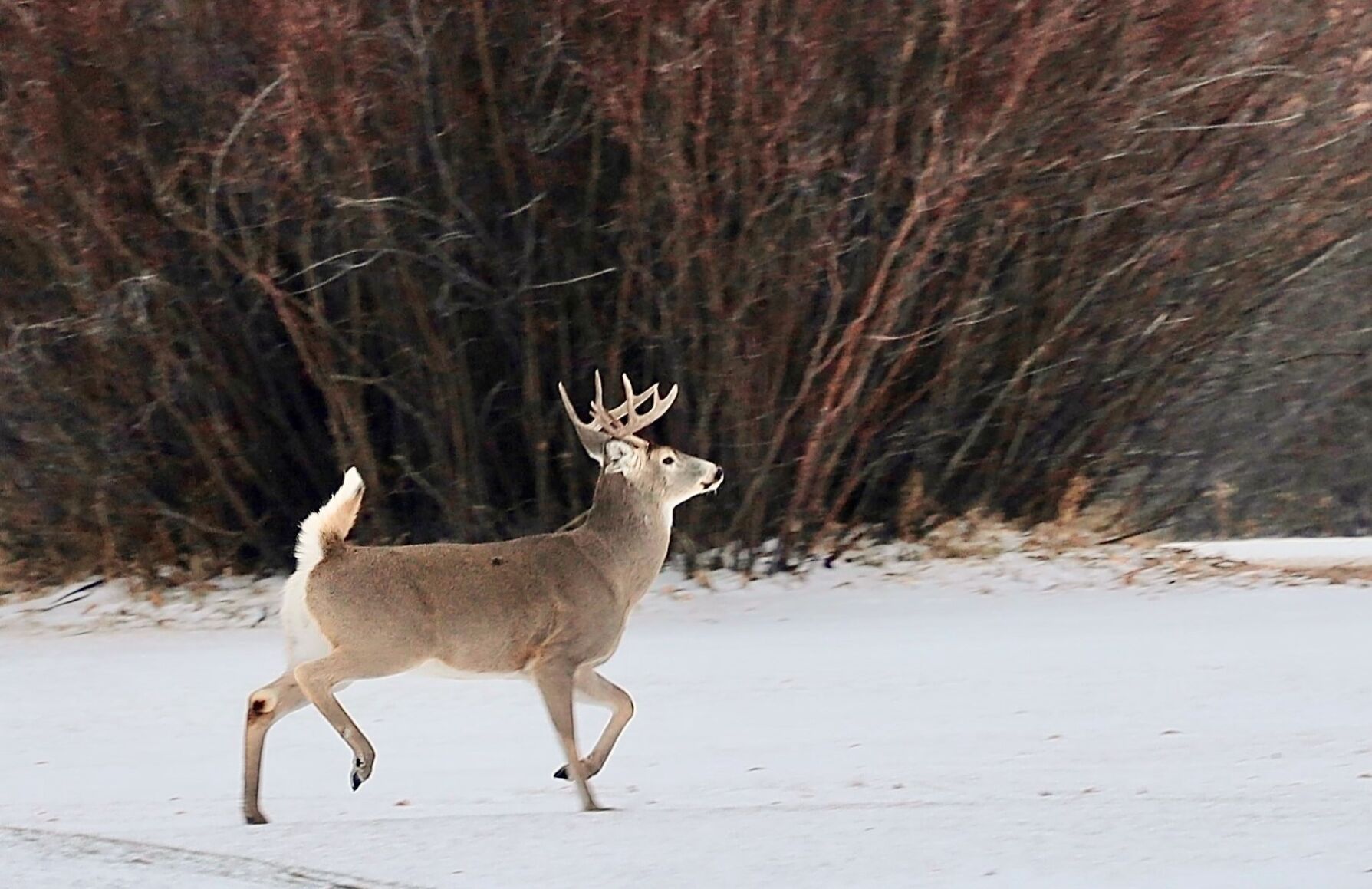 Your outdoor photos published February 2026