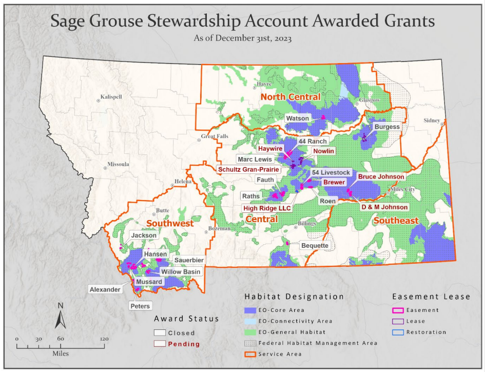 Montana sage grouse conservation program stalls amid demand