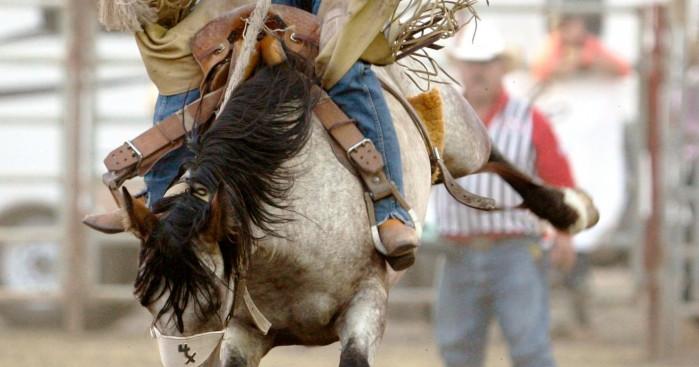 Gillette bull rider Bobby Welsh maintains harmony with rodeo, family