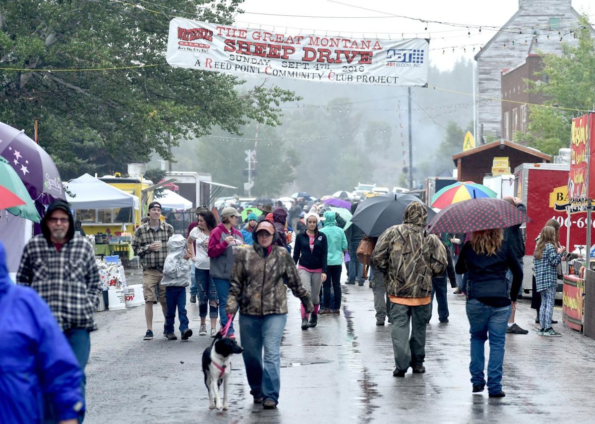 Photos: Reed Point Sheep Drive