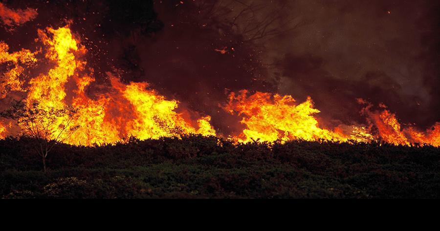 Bighorn National Forest fire contained, restriction lifted