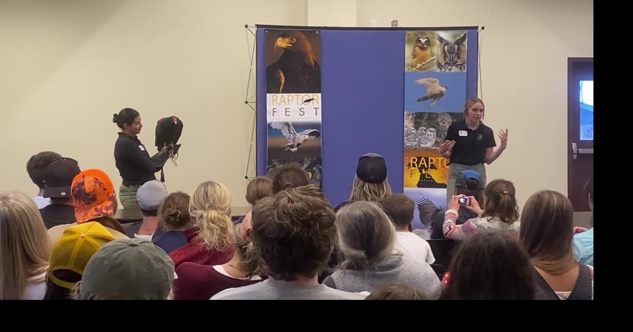 An owl is displayed during Raptor Festival
