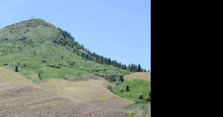 Portion of native prairie preserved in Washington's Palouse region