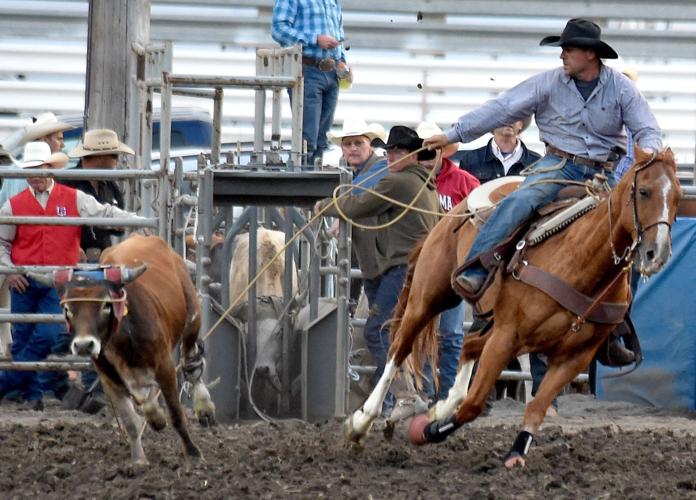 Steer roping talent highlights Yellowstone River Roundup