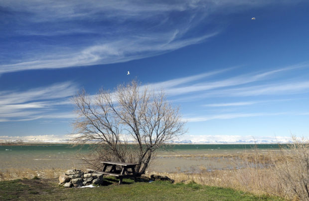 Roadside wanderings in north-central Montana