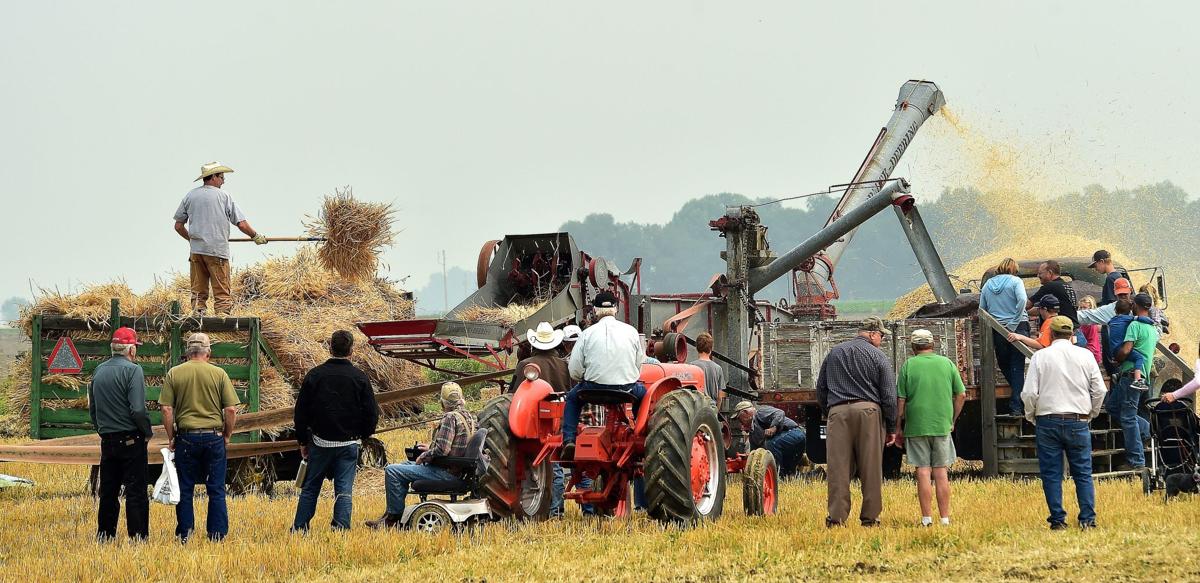 Photos: Threshing Bee in Huntley Project