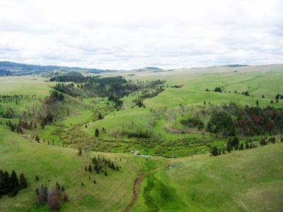 Spotted Dog wildlife management area brims with life, challenges