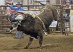 MHSRA rodeo
