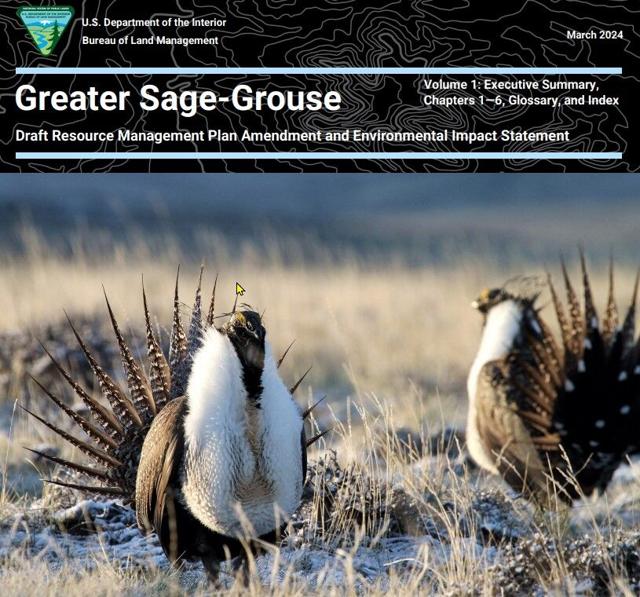 Greater sage grouse draft plan released by BLM