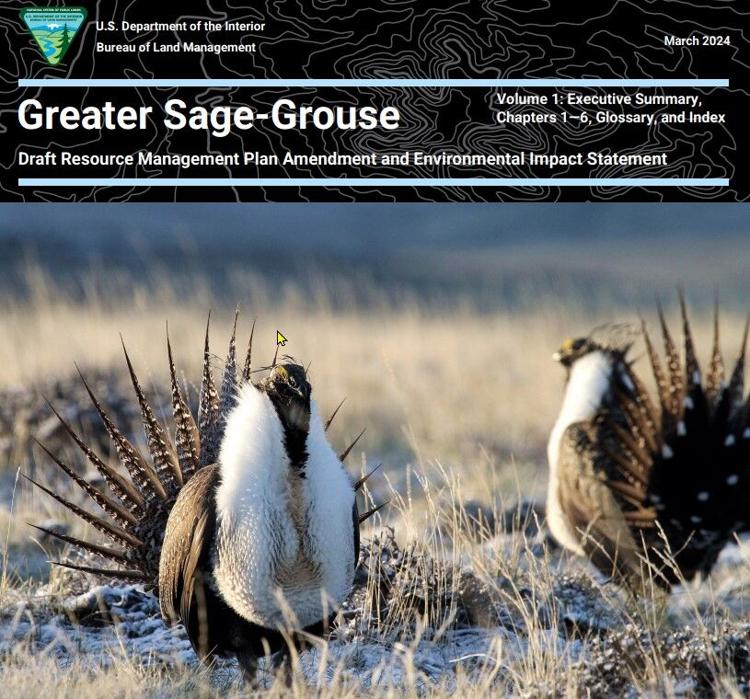 Greater sage grouse draft plan released by BLM