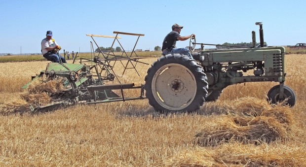 Threshing Bee marks 24th year in Huntley