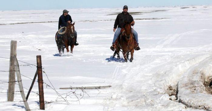 Josh Schumaker and Karl Knutson