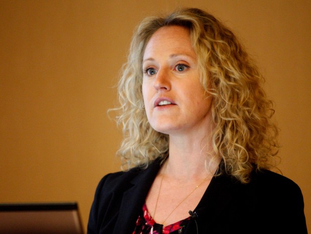 Experts: Energy, health care should be focus of business recruitment ...