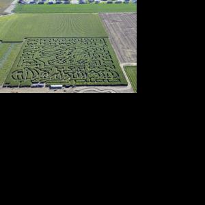 Feature photo: Witch Way Out