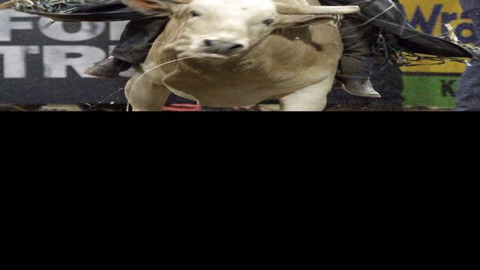 PBR Friday | Rodeo news | billingsgazette.com