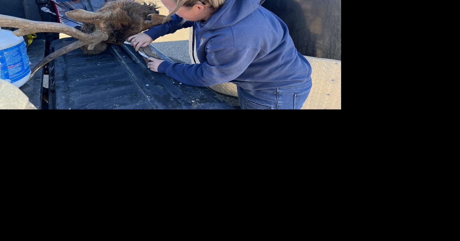 Chronic wasting disease crossover with humans causes alarm