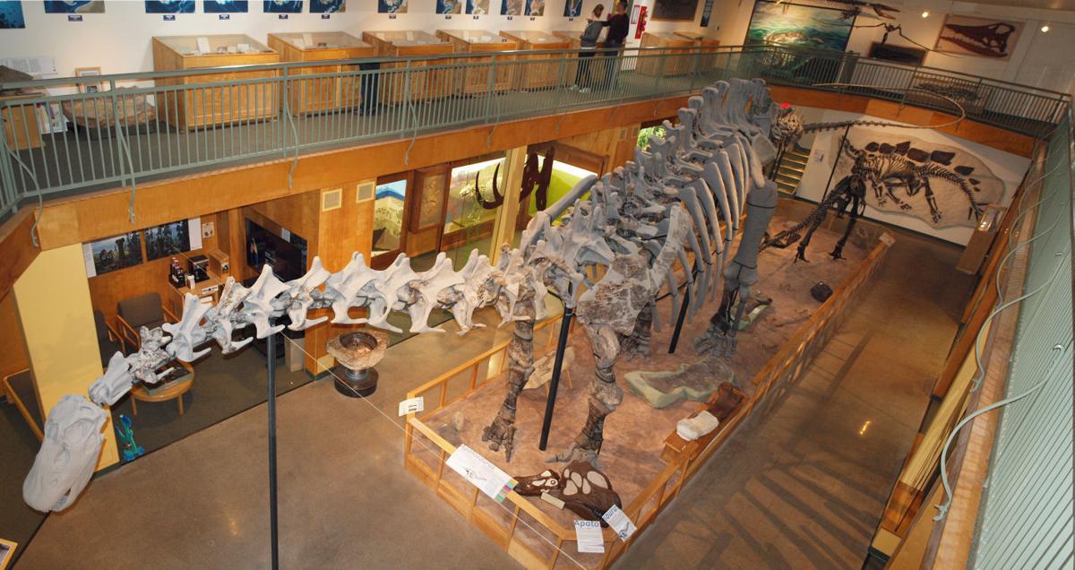 University of Wyoming museum's fossil collection is going digital