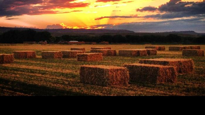 Hay bales in the sunset | Visual Arts | billingsgazette.com