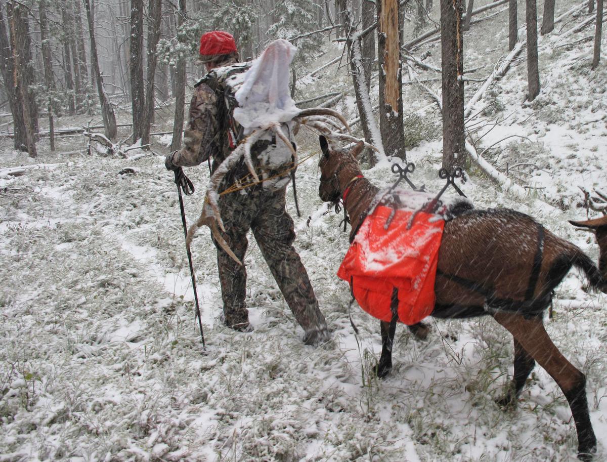 Goat-packing hunters worried forest will block animals