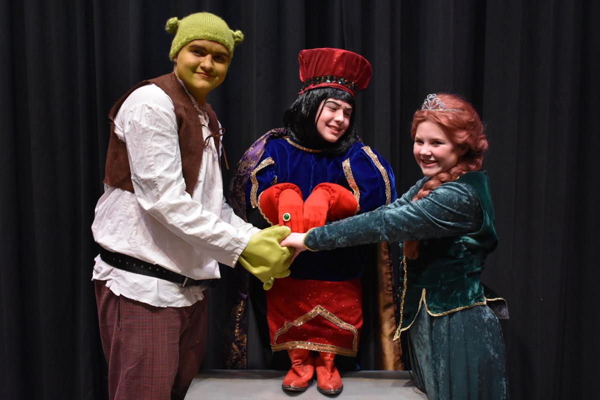 Wearing the green: 'Shrek the Musical Jr.' lets freak flag wave | Arts & Theatre ...