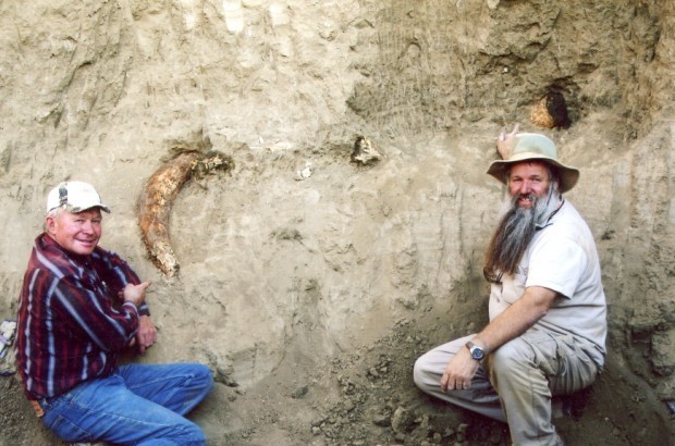 Researcher uncovers last pieces of mammoth