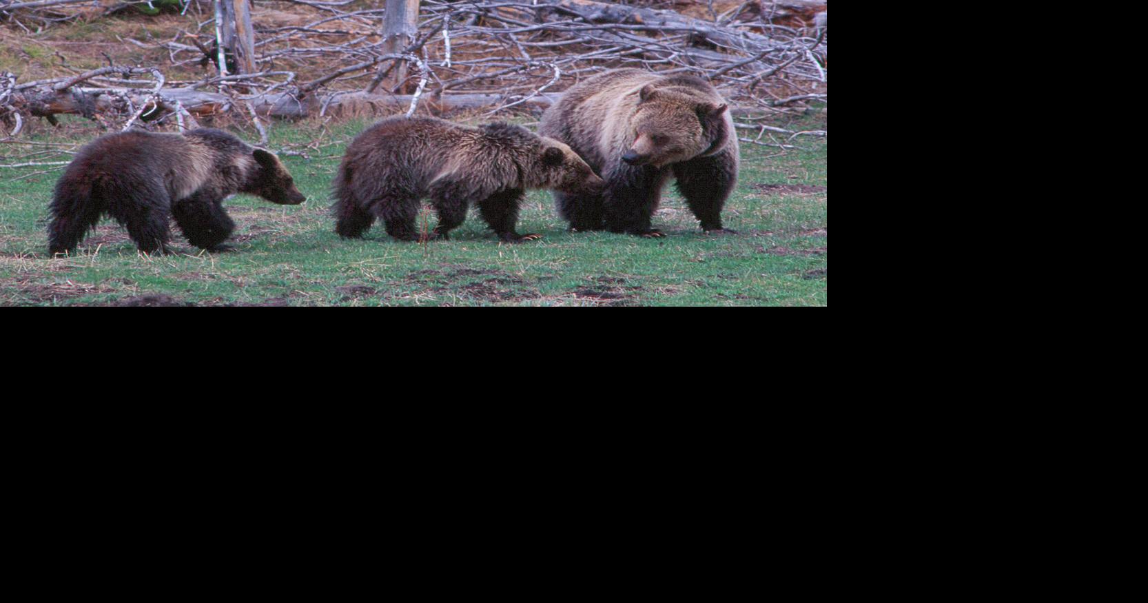 Jeff Darrah: ESA failures