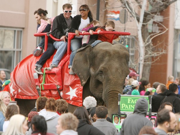 Feature photos: Elephants on parade