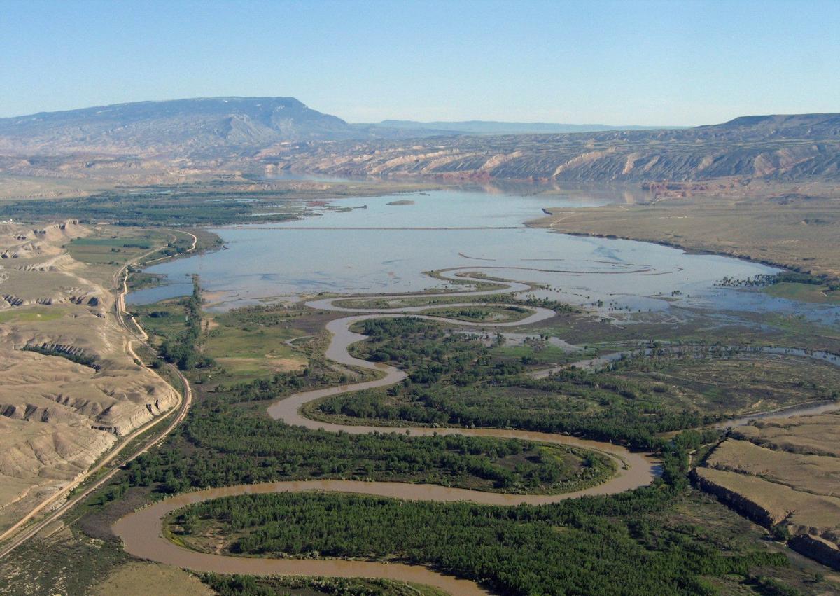 Yelllowtail provides recreation for humans, habitat for wildlife ...