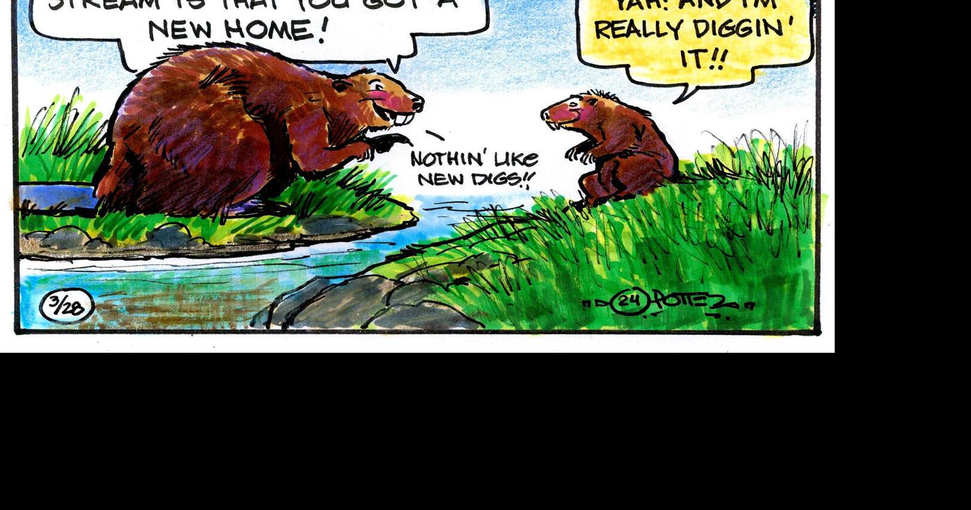 Ancient rodents live in Pacific Northwest