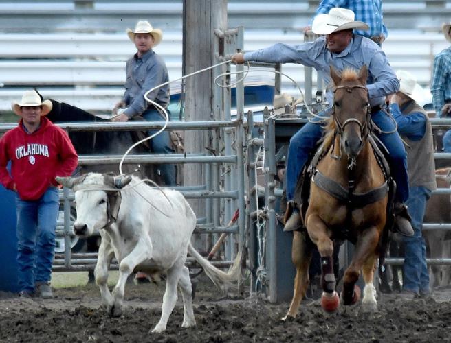 Steer roping talent highlights Yellowstone River Roundup