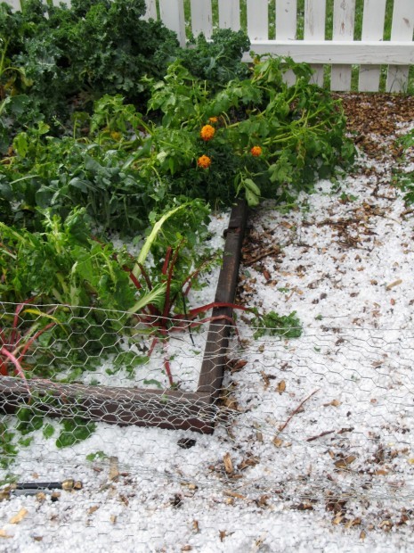 Hail wreaks havoc in Big Timber | Montana News | billingsgazette.com