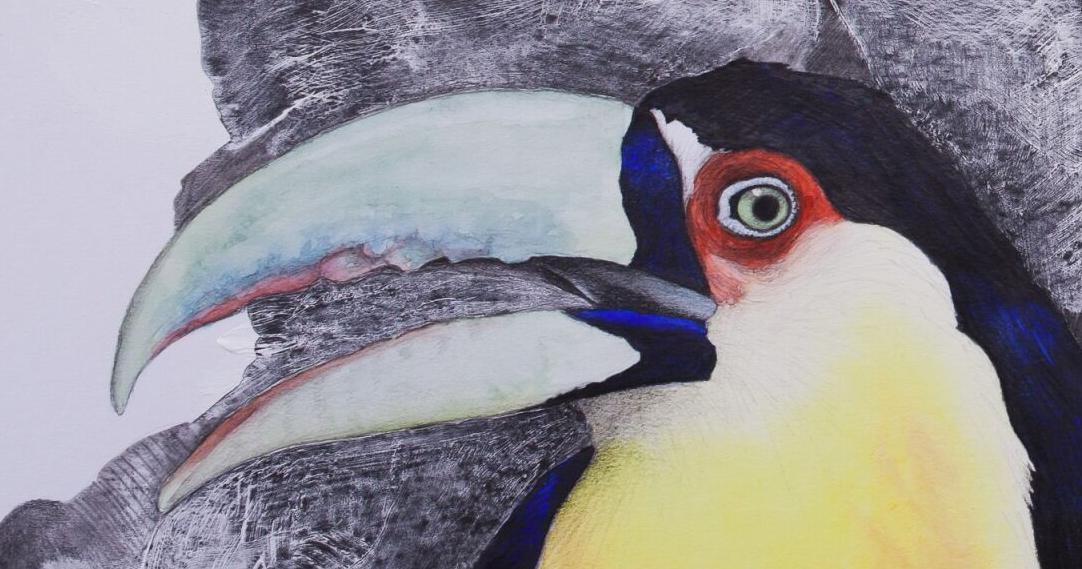 Toucan gallery holding grand reopening with BIRD(S) show