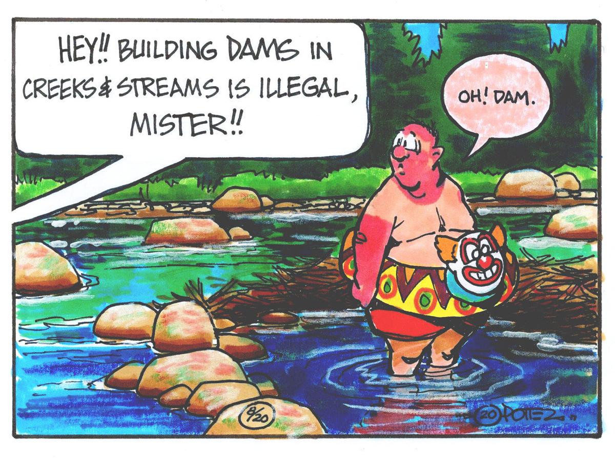 Building dams in small streams can harm fish | Just for Kids ...