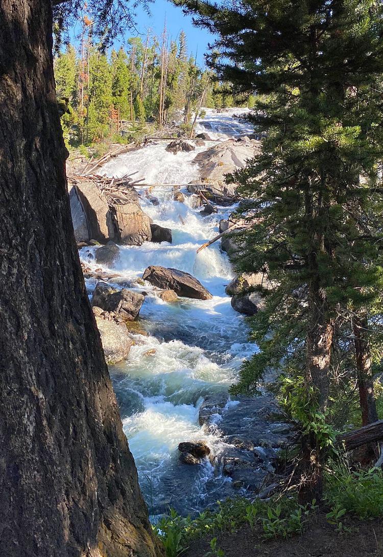 Crazy Creek Falls an easy hike off Beartooth Highway