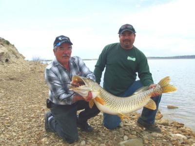 FWP stocks more muskies in Deadman's Basin Reservoir