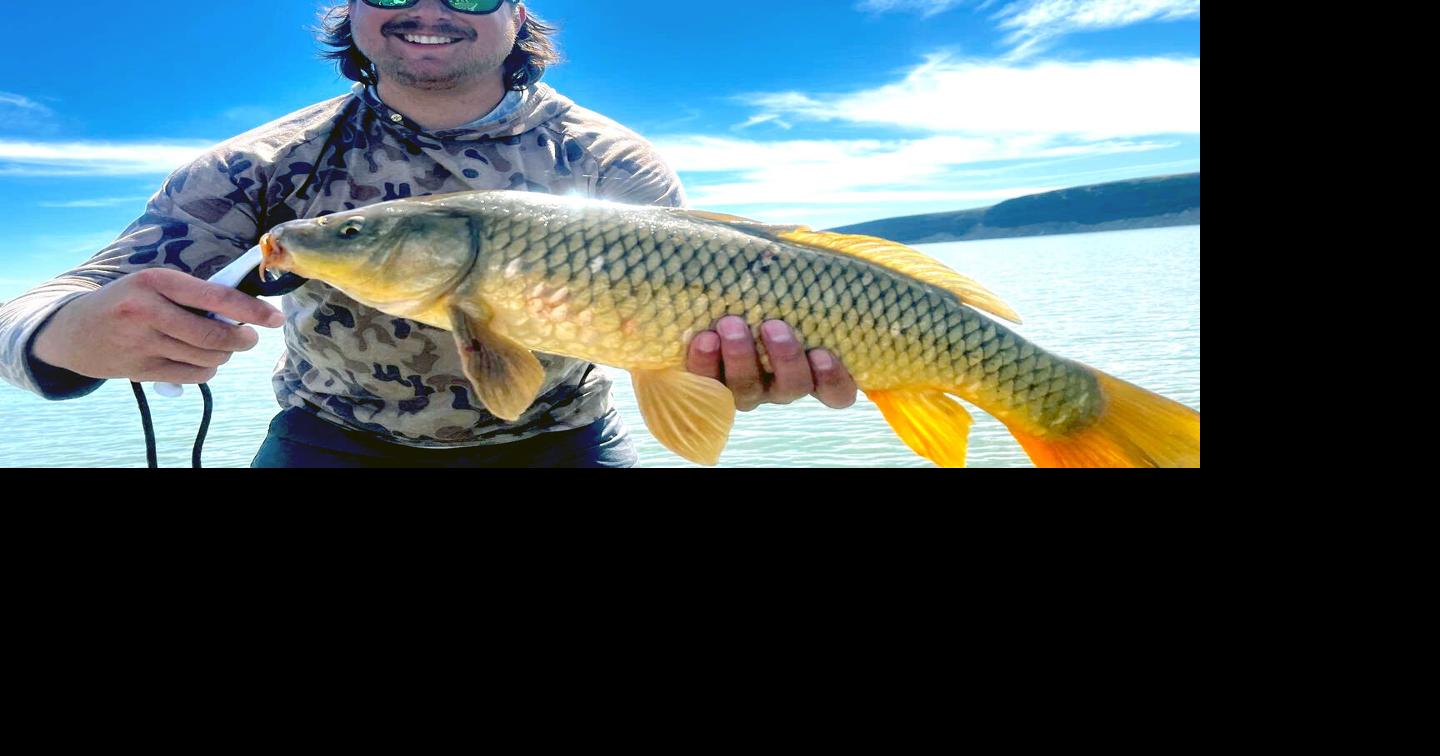 Idaho fly anglers chase carp for a rod-bending thrill
