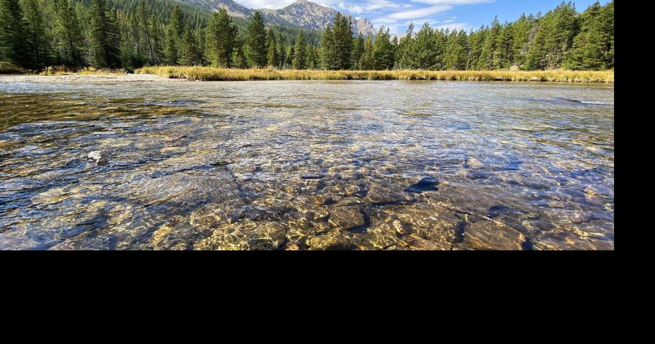 Michael Garrity: Help stop massive, destructive clearcuts on ...